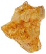 Amazon.com: Nature-Watch Homeschool Prehistoric Amber Craft Kit (Makes ...