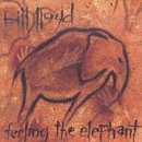 Lloyd, Bill - Feeling the Elephant - Amazon.com Music