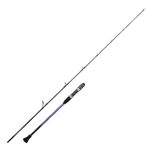 Snapklik.com : HANDING Cruiser Shadow Slow-Pitch Jigging Rod, Fuji ...