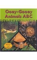 Ooey-Gooey Animals ABC | Amazon.com.br