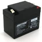 Amazon.com: Amstron 4V / 5Ah PowerGuard AGM Battery w/ F2 Terminal ...