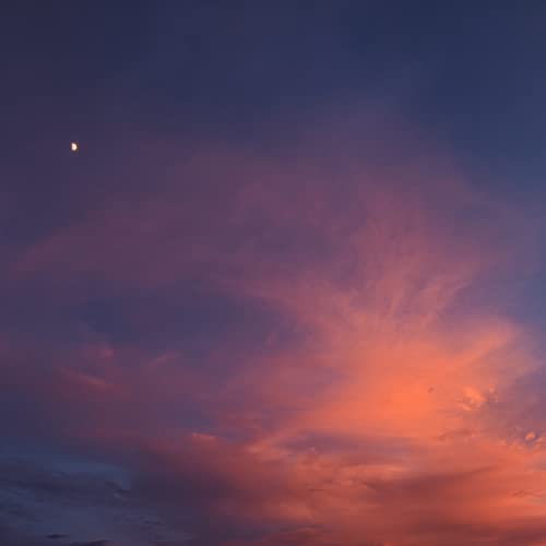 Why? by Hylozo on Amazon Music Unlimited