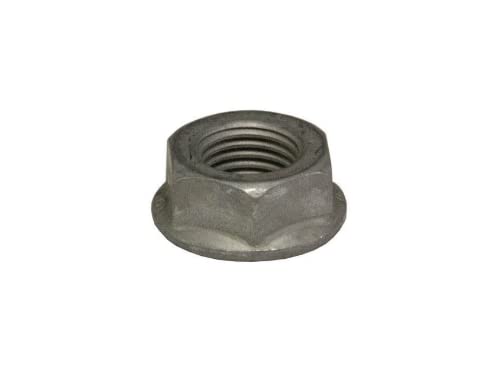 Amazon.com: Nut: Automotive