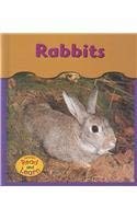 Amazon.com: Rabbits (Heinemann Read & Learn): 9781403443212: Whitehouse ...