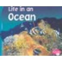 Life in an Ocean by Lindeen, Carol K. [Capstone Press, 2003] Library ...
