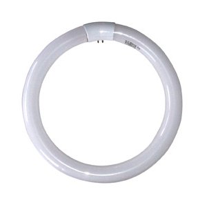 Amazon.com: OC White Full Spectrum Bulb for Big Eye Magnifier : Health ...