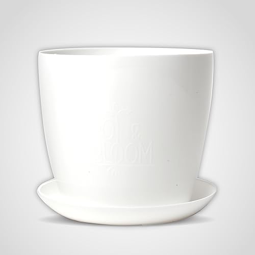 MILTON Blossom Mate 2 Plastic Pot, Set of 1, Terracotta Brown | Flower ...