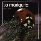 Amazon.com: La mariquita: 9788423626618: unknown author: Books