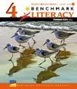 Benchmark Literacy Grade 4 Volume 2 Teachers Resource System: Unknown ...
