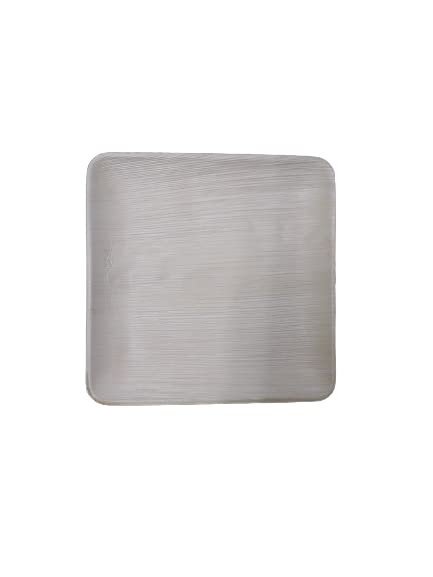 AALP Eco-Friendly | Natural | Bio degradable |Areca Leaf Plates ...