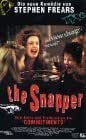 The Snapper [VHS] [1993]: Amazon.co.uk: Meaney, Colm, Kellegher, Tina ...