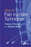 Atlas of Pain Injection Techniques: 9780443063800: Medicine & Health ...