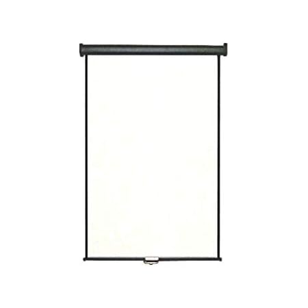Amazon.com : CFS Products Retractable White Photo ID Backdrop for ...