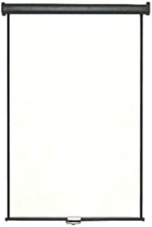 CFS Products Retractable White Photo ID Backdrop for Passport Photos ...