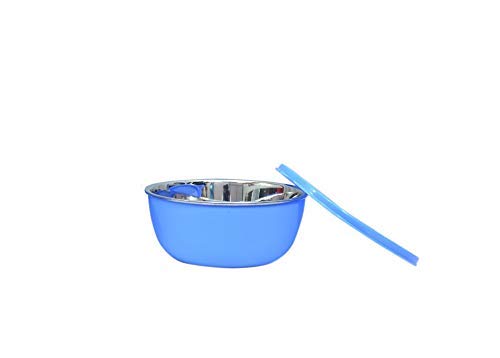 Buy Stainless Steel Plastic Coated Blue Storage Container (Set of 1)-13 ...