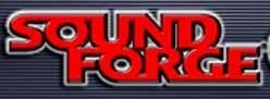 Amazon.com: Sound Forge Xp : Musical Instruments