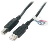 Amazon.com: StarTech.com USB 2.0 A to B Cable - USB cable - 4 pin USB ...
