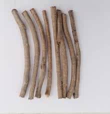 Buy banyan root sticks Online at Low Prices in India - Amazon.in
