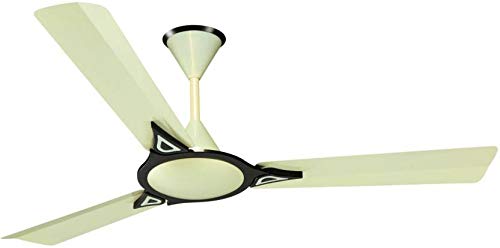 RAMY Aviator 3 Blade Ceiling Fan (Rainbow Ivory) : Amazon.in: Home ...