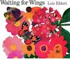 Amazon.com: Waiting for wings: 9780439539456: Ehlert, Lois: Books