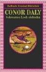 Amazon.co.jp: Schwarzes Loch siebzehn. Kieran-Lenahan-Serie. : Daly ...