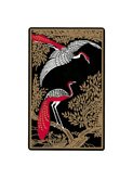 Ibis : Amazon.de: Bücher