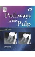 Pathways of the Pulp : Stephen Cohen, Kenneth M. Hargreaves: Amazon.de ...