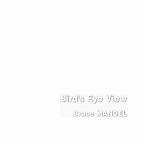 Amazon MusicでBruce MandelのBird's Eye Viewを再生する