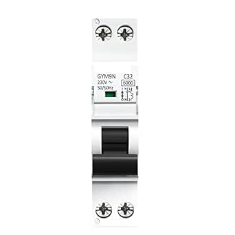 Circuit Breaker DPN MCB 1p+N 6a 10a 16a 20A 25A 32A 40A 220V AC Mini ...