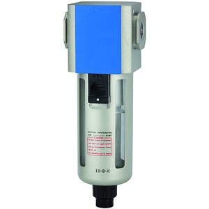 RIEGLER 116398-GF 13 Filter »G«, PC-Beh, Schutzkorb, 5 µm, BG 300, G 1/ ...