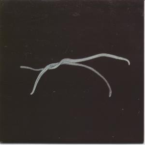 Amazon.com: Shéa: CDs & Vinyl