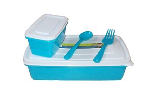 Tango plastic lunch box, 2 pieces, 450ml, Blue : Amazon.in: Home & Kitchen