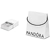 PANDORA Eco Friendly Packaging Set (Bag and Bracelet Box) (1) : Amazon ...