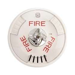 Amazon.com: Cooper Wheelock STWC by Cooper / Wheelock : Electronics