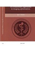 Improving the Performance of Evolutionary Algorithms in Imaging Optimization. : Maslov, Igor V ...
