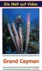 Grand Cayman: Amazon.co.uk: Weldishofer, Inge, Weldishofer, Xaver: DVD ...