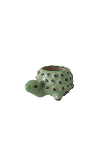 Nested Greens - Unique Dotted Turtle Ceramic Pot 4" x 4.5" Inch| Indoor ...