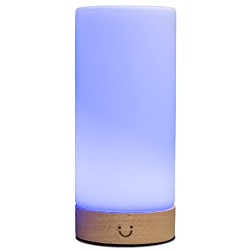 LuvLink Modern Friendship Lamp – Cylinder Wood & Glass Design | Long ...
