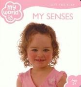 My Senses (My World): Amazon.co.uk: My senses Edition: first ...