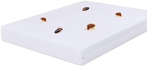 IMFAA Fully Zipper Encasement Anti Bug Bed, Anti allergy and fully ...