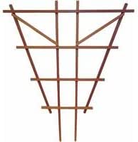 Amazon.com : HEARTLAND HOME & GARDEN 32470 Espalier Trellis, 3-Feet ...