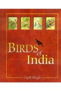 BIRDS OF INDIA: Amazon.co.uk: Singh, Jagjit: Books