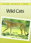 Wild Cats Trading Cards: Buy Online at Best Price in Egypt - Souq is ...