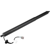Amazon.com: Autoexact Power Liftgate Struts Fit for 2014-2019 Toyota ...