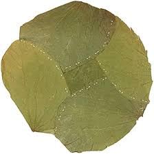 Mandara Leaf Plates Disposable for Serving Food