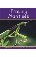 Praying Mantises: Frost, Helen: 9780736808538: Books - Amazon.ca
