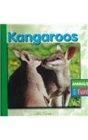 Kangaroos (Animals Are Fun): Lever, E. Melanie, Lovett, Kate, Slater ...