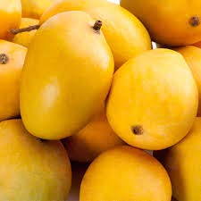 Exotica Orchids Anwar Ratol Mango Plant-Grafted : Amazon.in: Garden ...