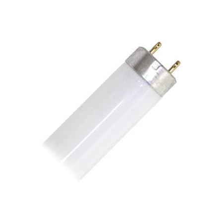 Philips 244707 F34/CW/RS/EW ALTO Straight T12 Fluorescent Tube Light ...
