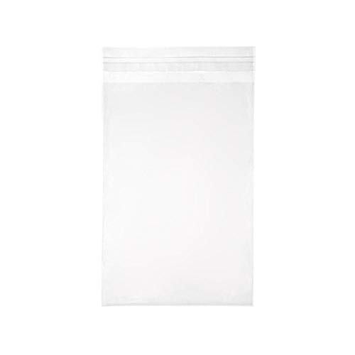 Clear Transparent Bag with Flap 100 Pack | Small Clear Plastic Slip ...